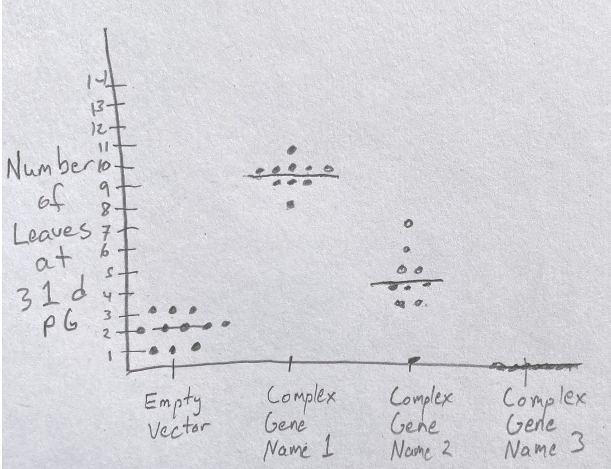 Misconceptions in the visual communication of science – The Picture as ...